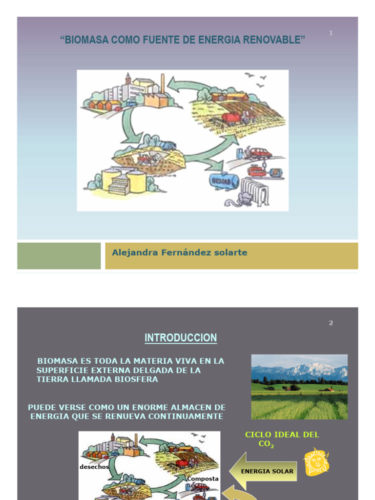 BIOMASS | PDF | Biomasa | Digestión anaeróbica