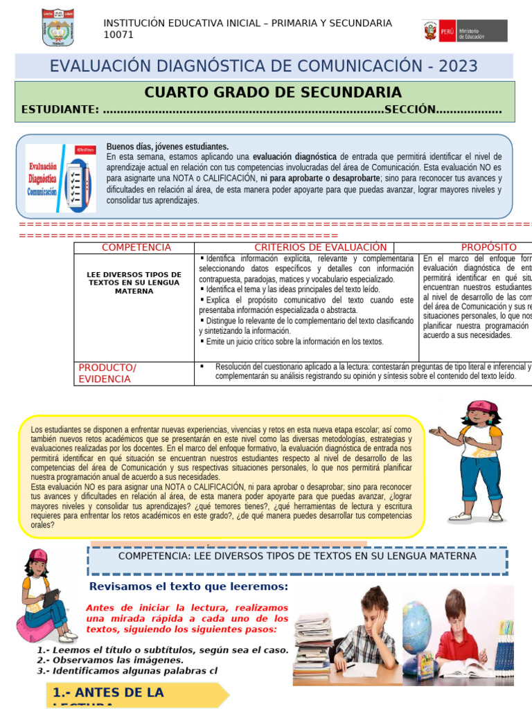 Informe de Evaluación Diagnóstica Escolar | PDF | Evaluación