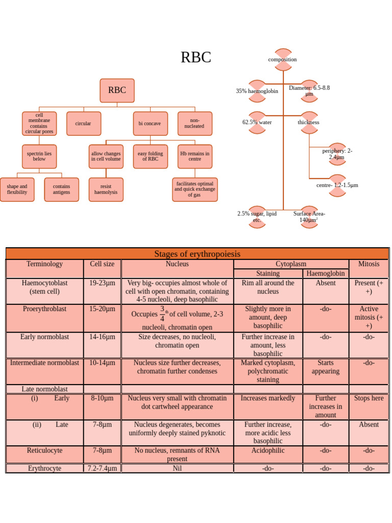 RBC Mind Map | PDF | Cell Nucleus | Red Blood Cell