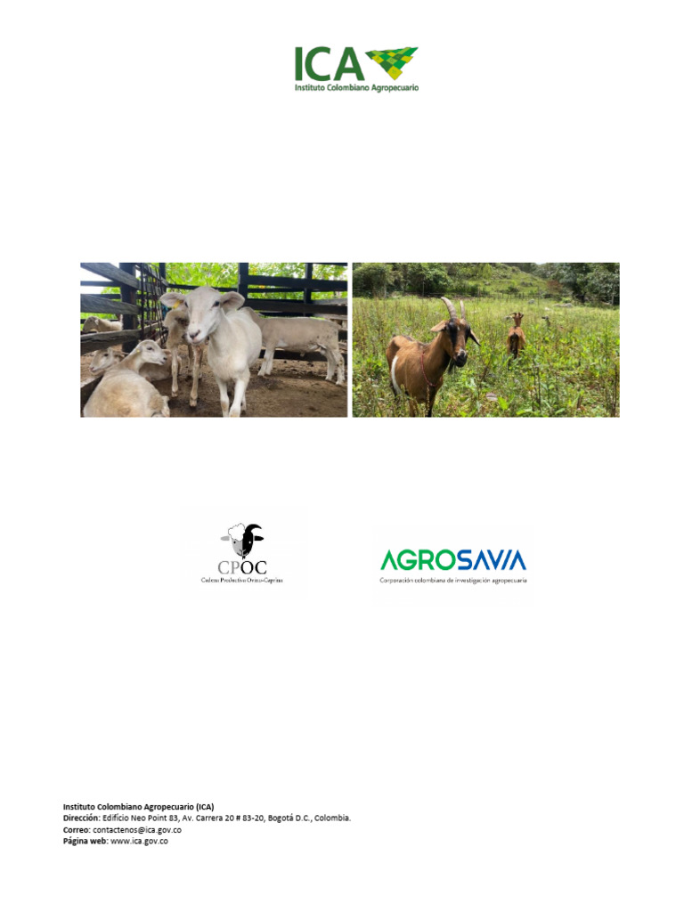 Metodología para Evaluar El Bienestar Animal en Ovinos y Caprinos | PDF | Colombia | Pasto