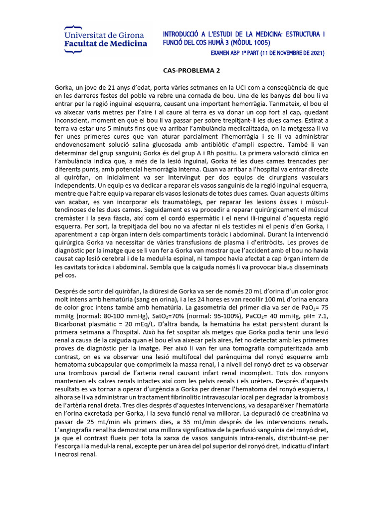 Enunciat CAS 2 EXAMEN ABP - 2021 - 22 | PDF