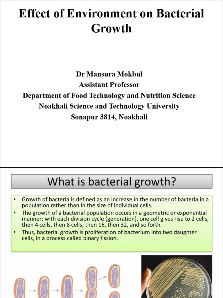 Factors Affecting Bacterial Growth | PDF | Science & Mathematics