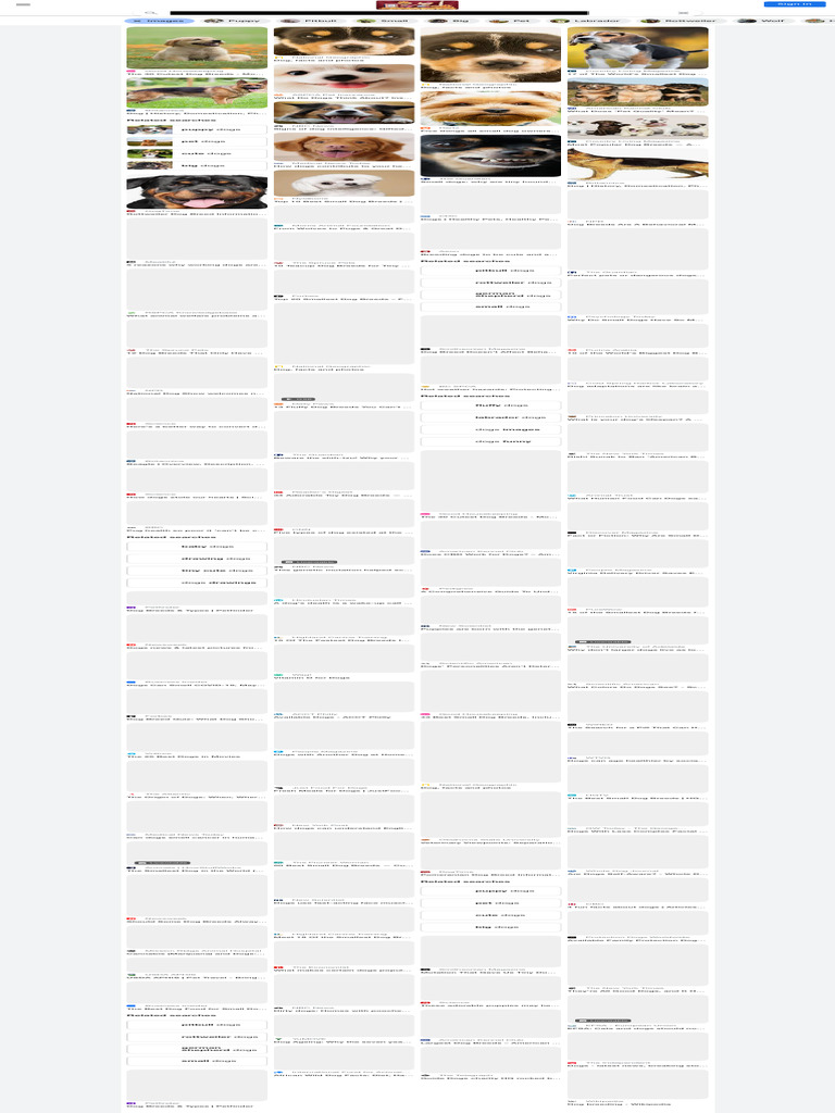 Dogs - Google Search | PDF | Dogs | Pit Bull