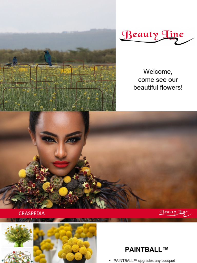 BL Products 2024 | PDF | Botany | Plants