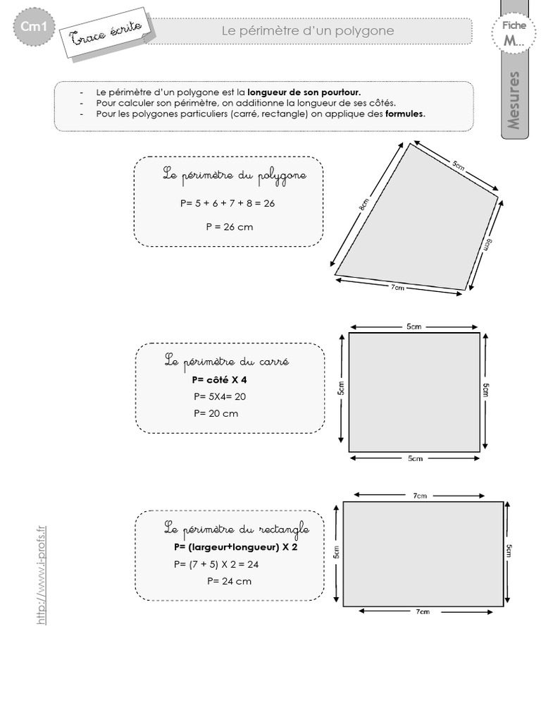 cm1 Trace Ecrite Perimetre Polygone | PDF