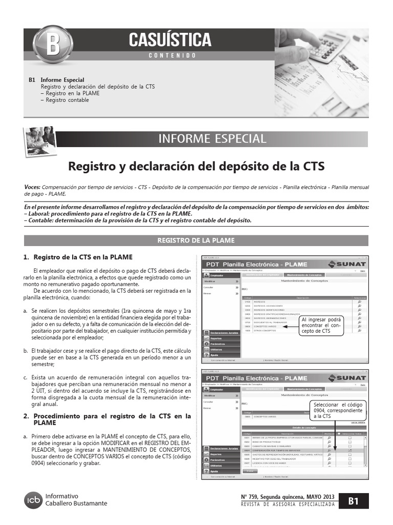 CTS Registro y Declaracion en PLAME - Xrrev98471138 | PDF ...