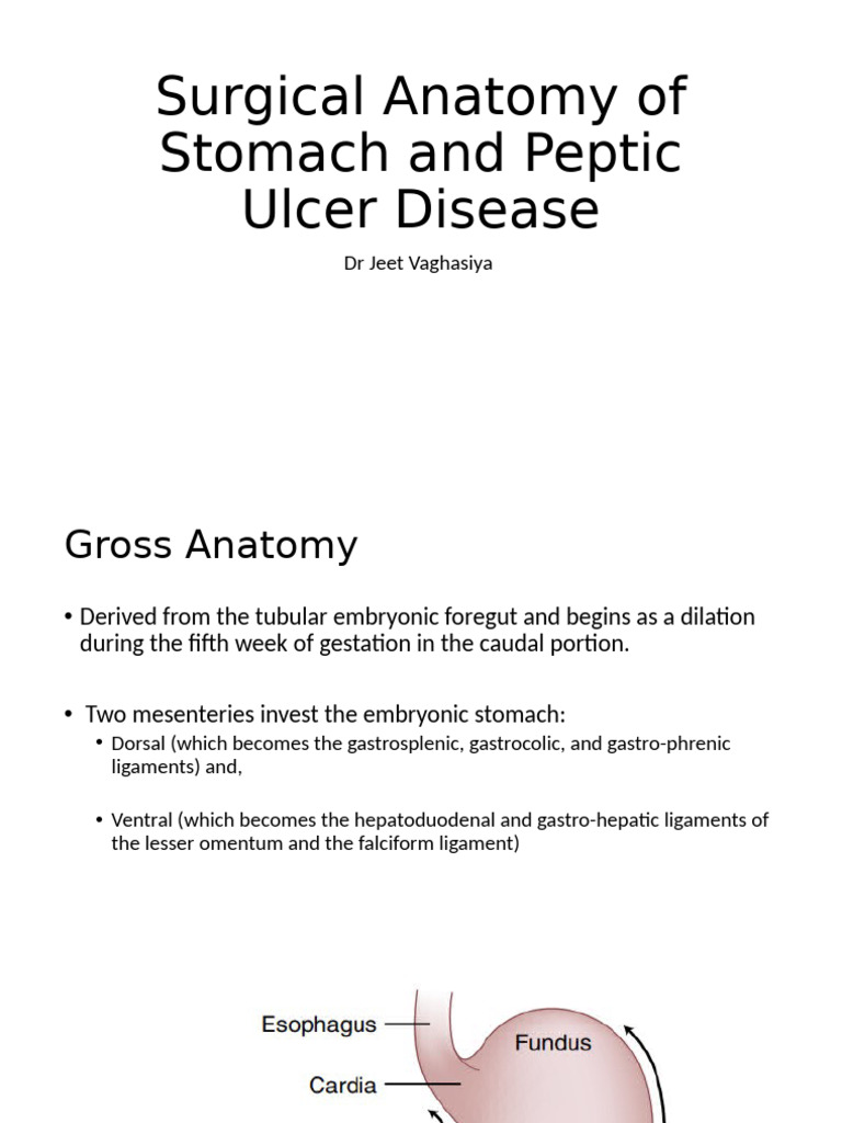 Surgical Anatomy of Stomach and Peptic Ulcer Disease | PDF | Stomach ...