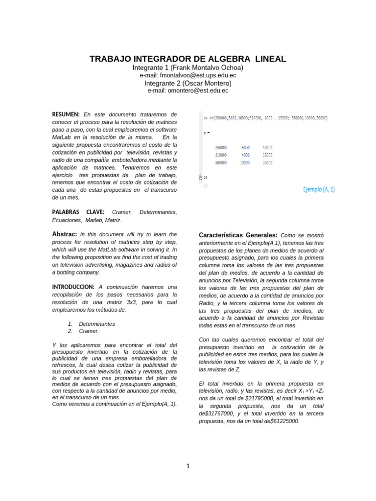 Trabajo Integrador de Algebra Lineal | PDF | Determinante | Matriz ...