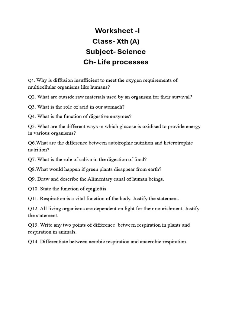 CH - Life Processes 10th Worksheet1 | PDF