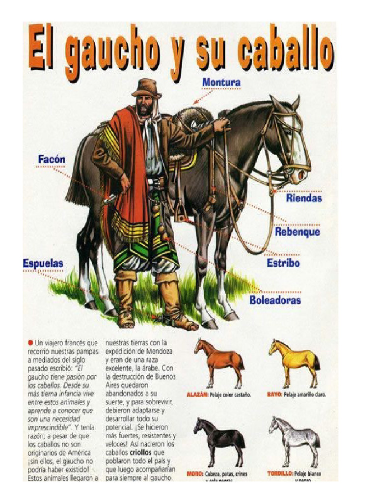 Infografias Del Gaucho | PDF