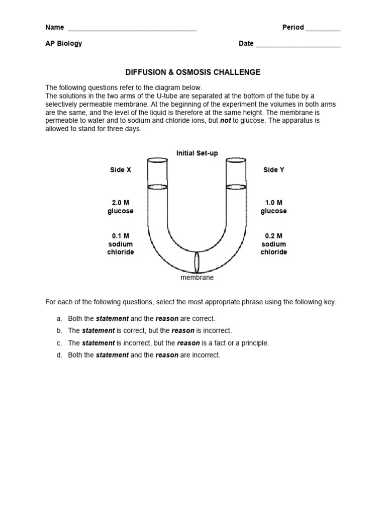 Diffusion & Osmosis Quiz | PDF | Osmosis | Chemistry