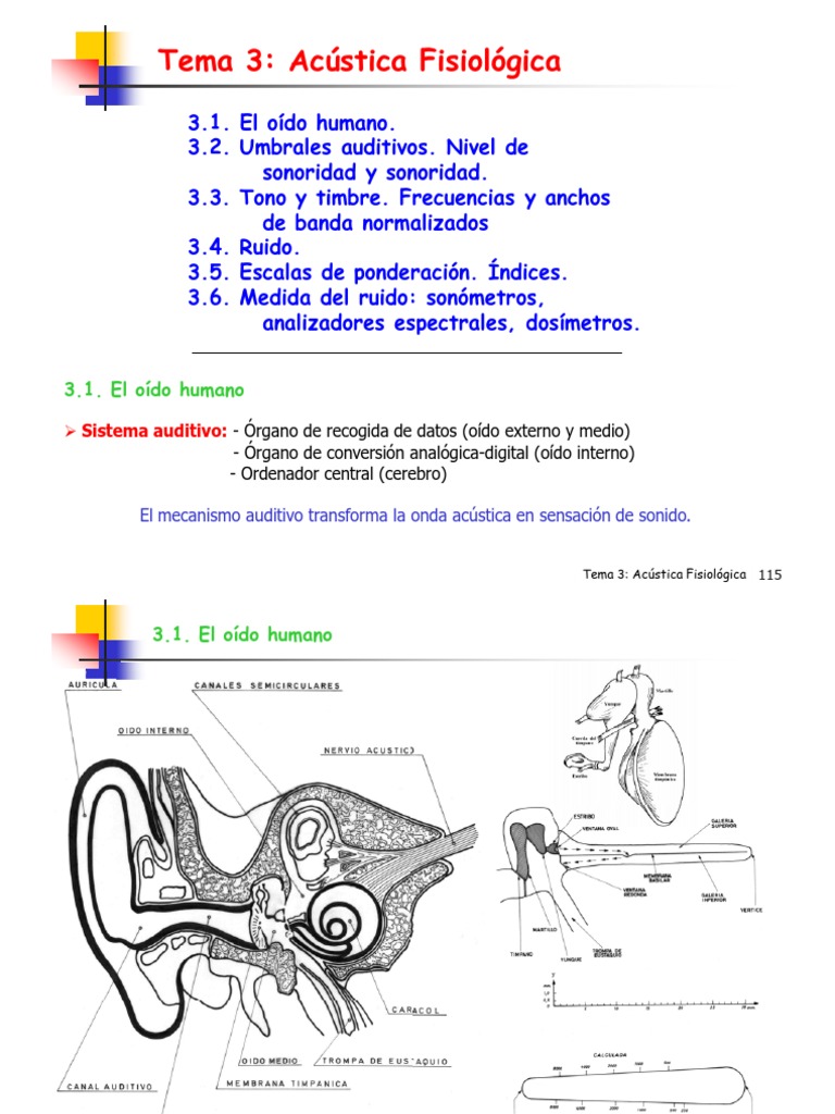 Acústica Fisiológica y Umbrales Auditivos | PDF | Decibel | Sonido