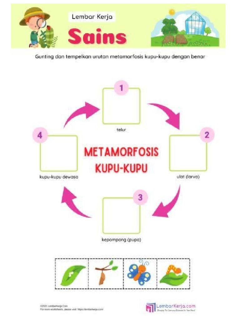 LKPD Daur Hidup Kupu Kupu | PDF