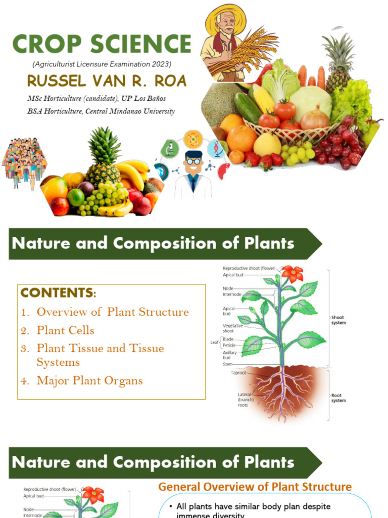 Nature and Composition of Plants | PDF | Fruit | Root