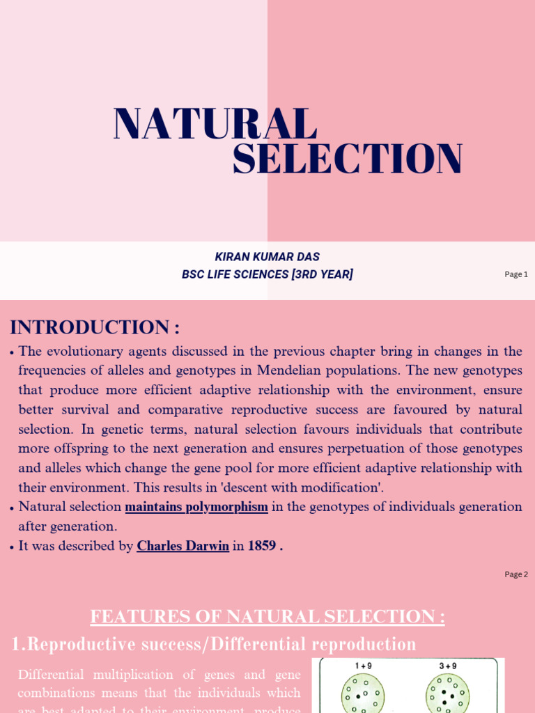 Natural Selection | PDF | Natural Selection | Evolution