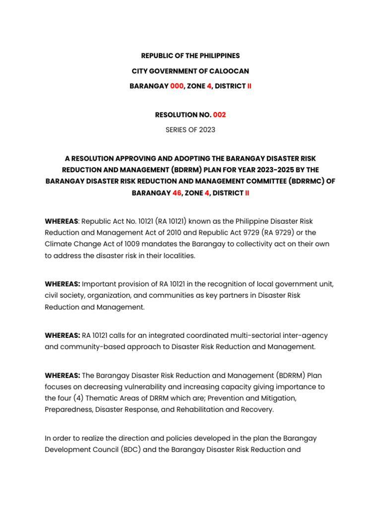 BDRRMP MULTI YEAR PLAN TEMPLATE - Docx - 20241104 - 232552 - 0000 | PDF ...