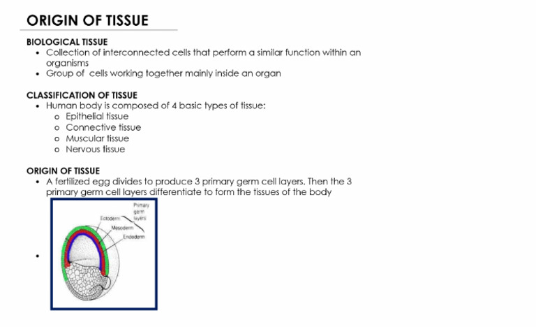 Origin of Tissue | PDF