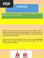 BTEC Sport Level 3 Revision Guide Muscular System | PDF