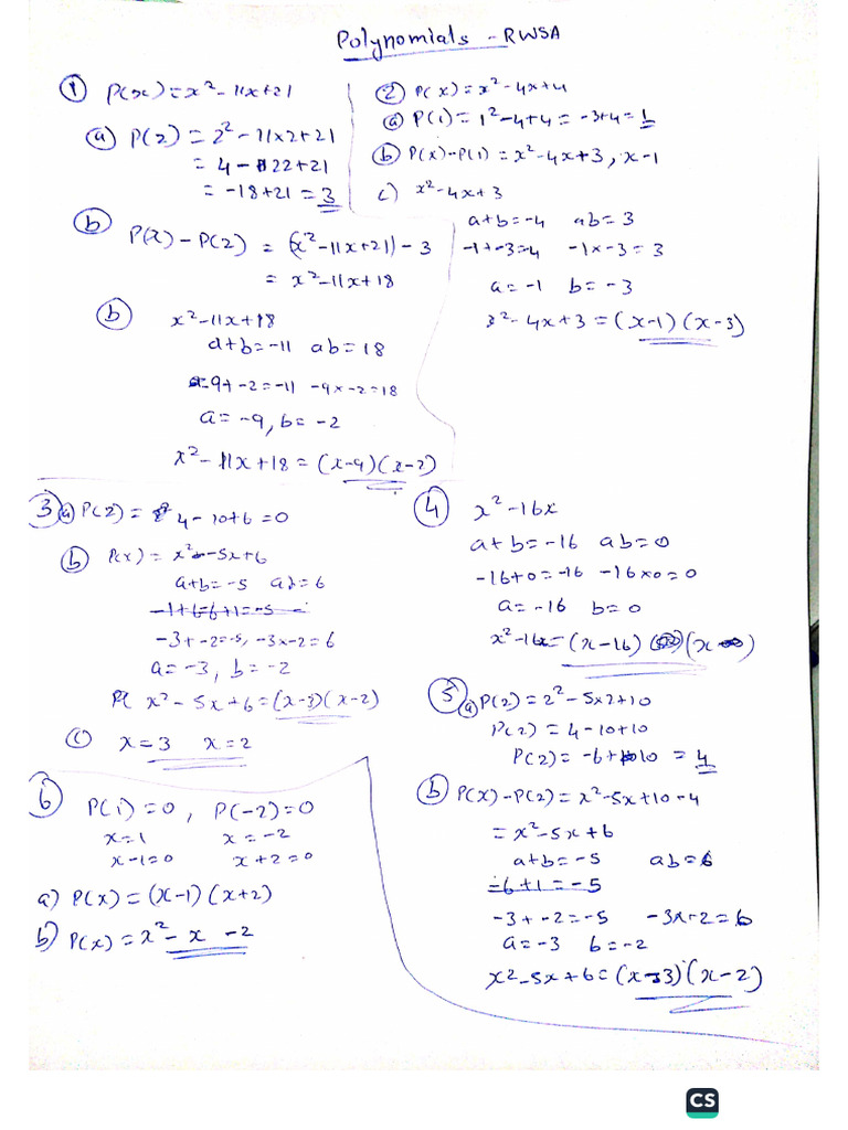 Polynomial Revision WS Answers | PDF