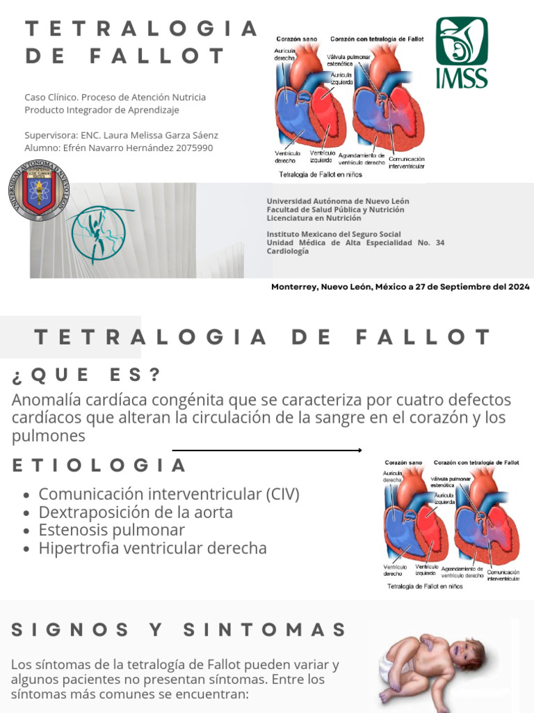 Eps Efren 2075990 Pia PDF | PDF | Corazón | Ventrículo (corazón)