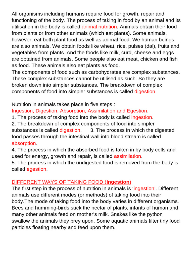 2. Nutrition in animals | PDF | Digestion | Mouth