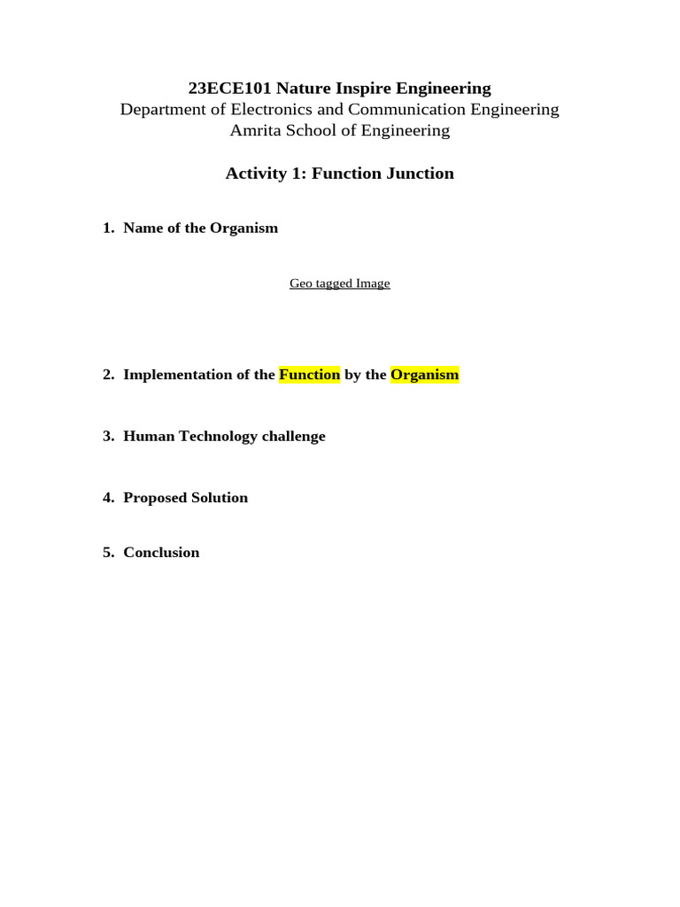 NIE Activity 2 Template | PDF | Science & Mathematics