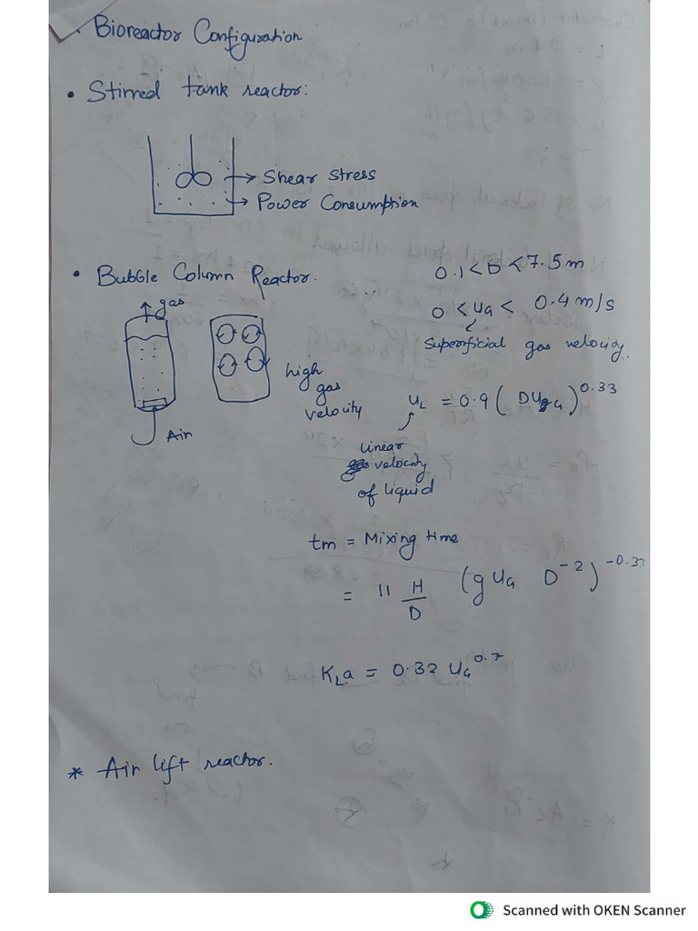 BT 303 After Midsem | PDF