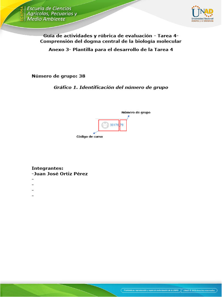 Anexo 3 - Plantilla para el desarrollo de la tarea 4 (3) | PDF | Rna | Adn