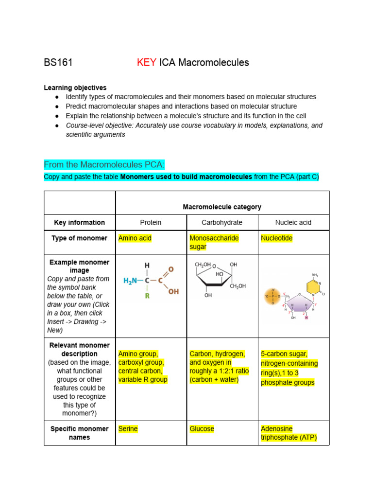 03 KEY ICA Macromolecules | PDF | Macromolecules | Fatty Acid