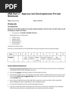 Bio-Rad Mini SDS-PAGE Gel Protocol | PDF | Gel Electrophoresis | Chemistry