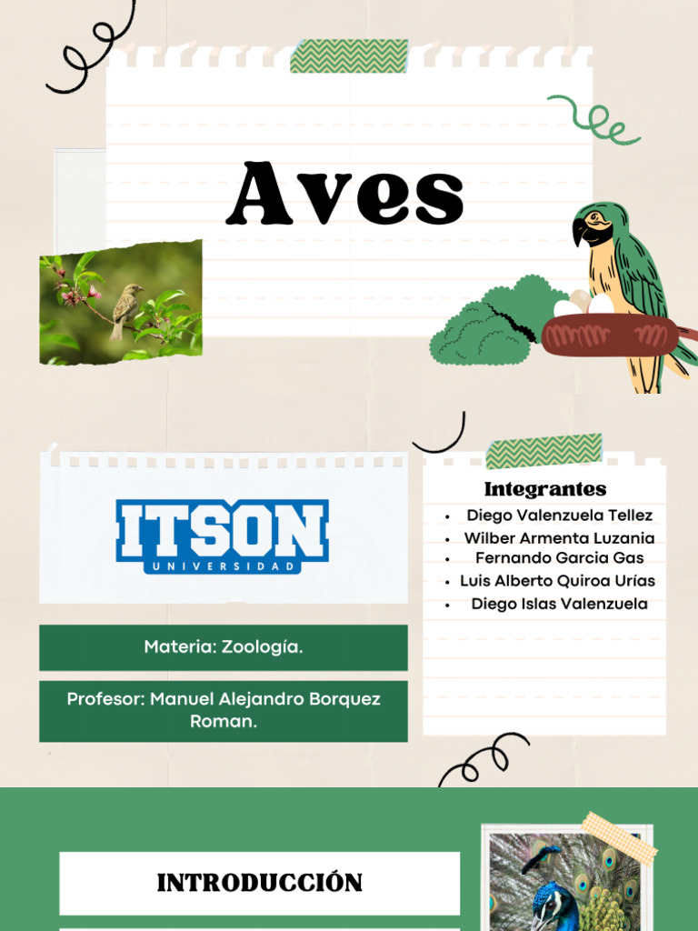 Aves | PDF