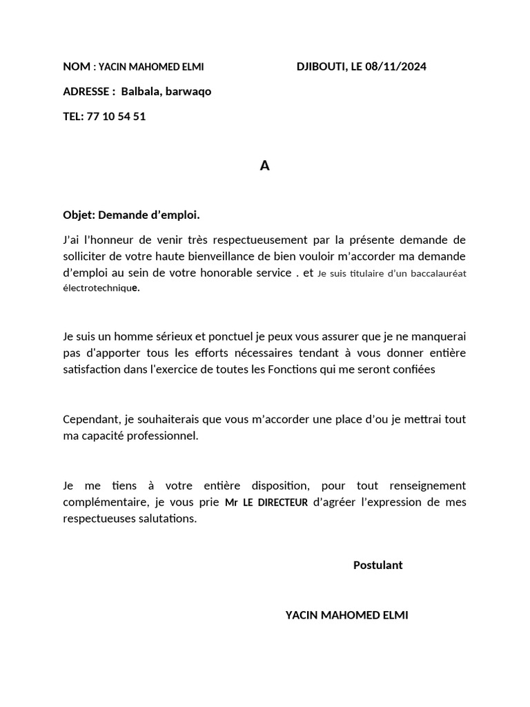 Demande d'emploi de Yacin Mahomed Elmi | PDF