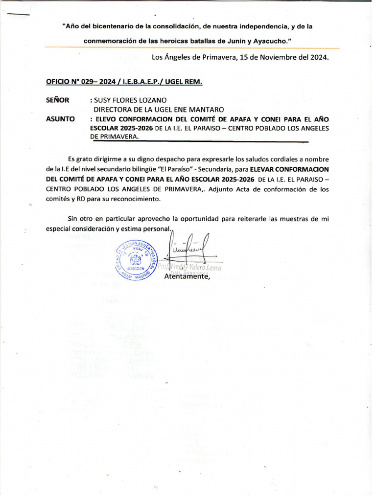 Conformacion de Apafa y Conei 2025 | PDF