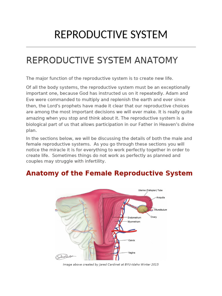I-Reproduction Textbook Part 1 | PDF | Testicle | Uterus