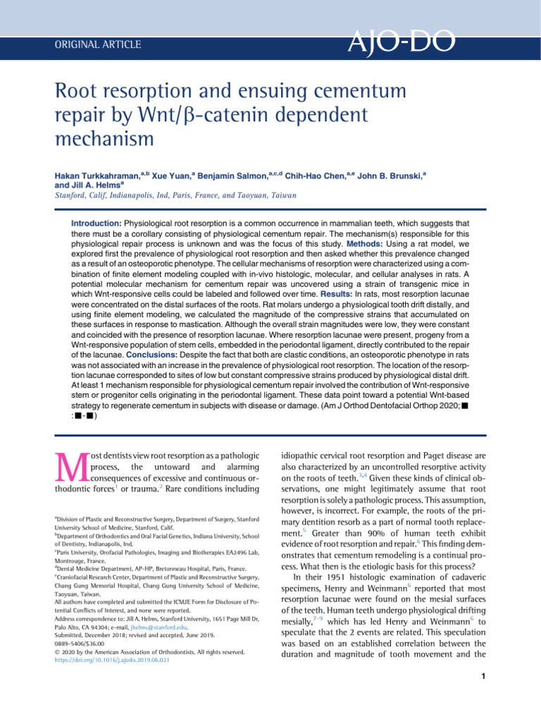 MET1 | PDF | Human Tooth | Dentistry