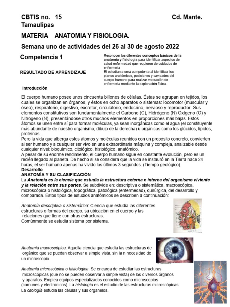 Act 1a | PDF | Hueso | Abdomen