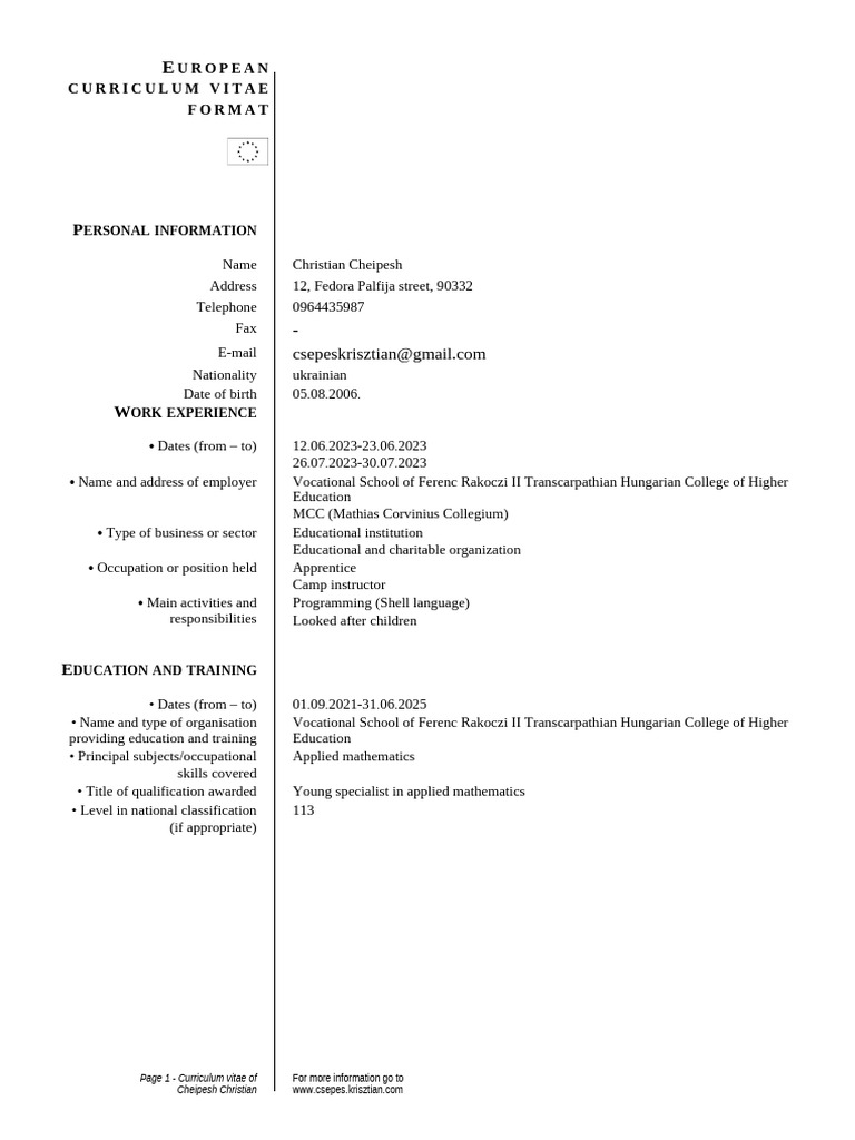 CV European Format | PDF | Vocational Education