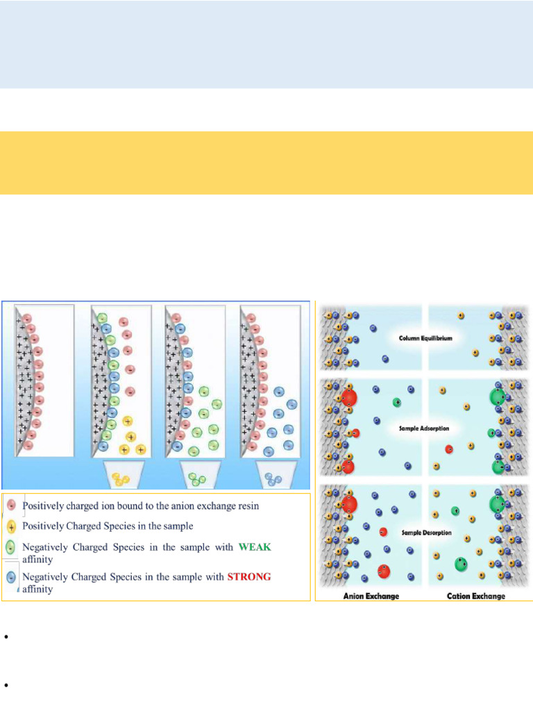 Ion Exchange Chromatography | PDF | Ion Exchange | Chromatography