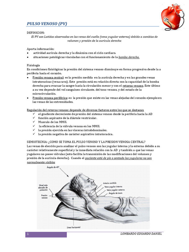Guía del Pulso Venoso y su Medición | PDF | Vena | Corazón