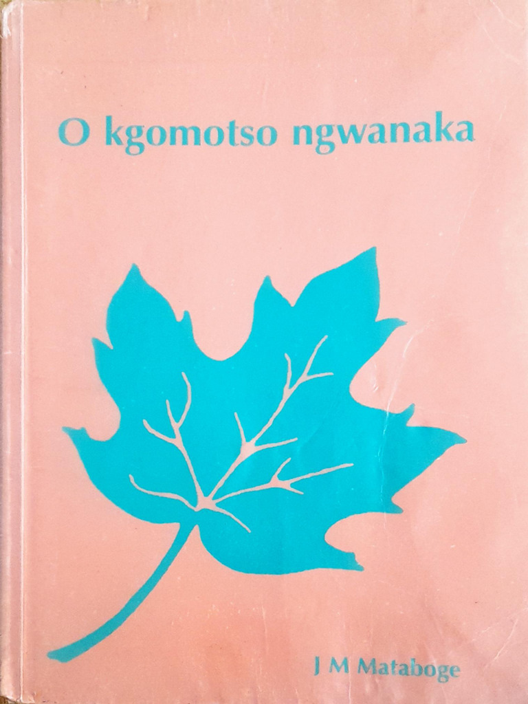 Kgomotso Ngwanaka: Grade 10 Summary | PDF | Languages Of Africa