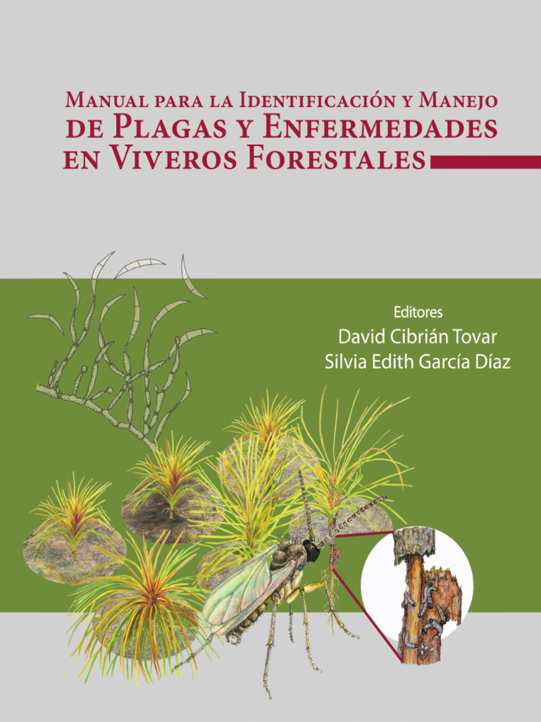 Manual de Plagas en Viveros Forestales | PDF | Insectos | Plaga (organismo)