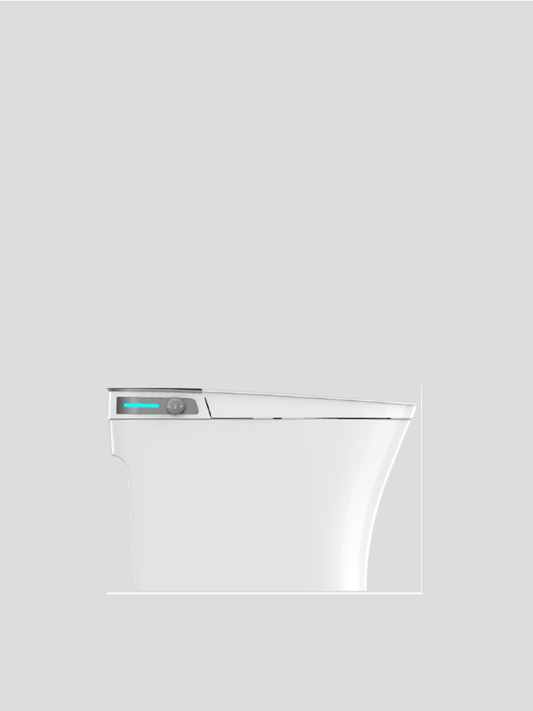Smart Hygiene Solutions for Toilets | PDF
