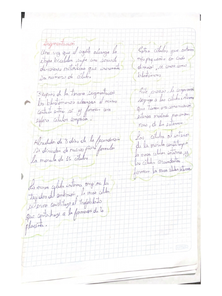Documentos Escaneados | PDF