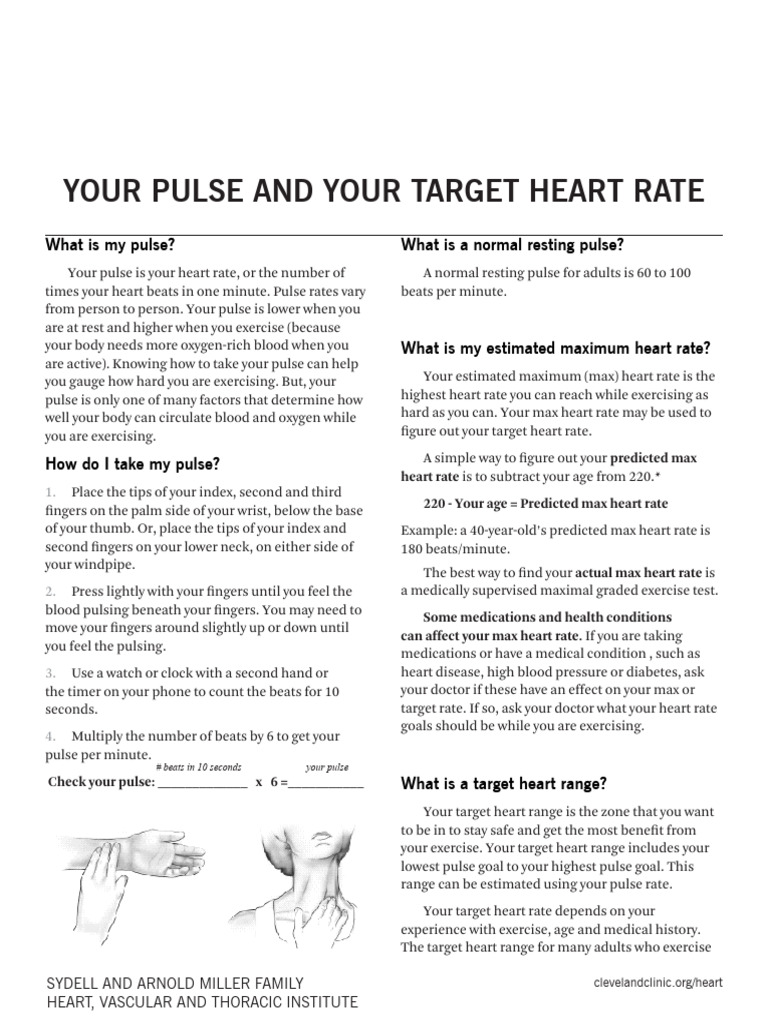Your Pulse and Target Heart Rate | PDF | Heart Rate | Pulse