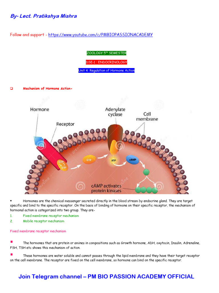ZOOLOGY 5th SEMESTER - DSE-1 - ENDOCRINOLOGY-UNIT-4 | PDF | Hormone ...