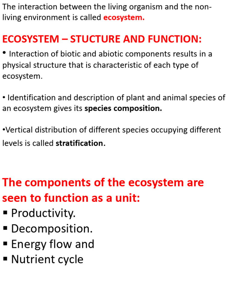Ecosystem Pdf Food Web Ecosystem