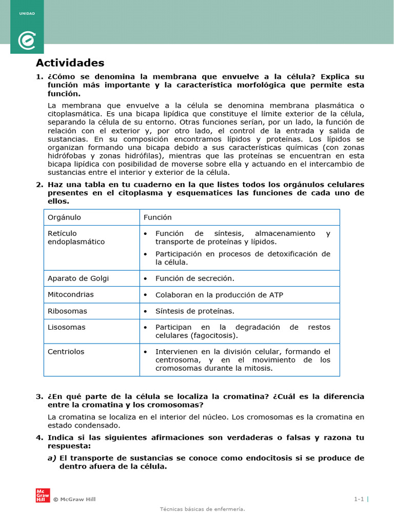 U01 Sol 005 | PDF | Abdomen | Biología Celular)
