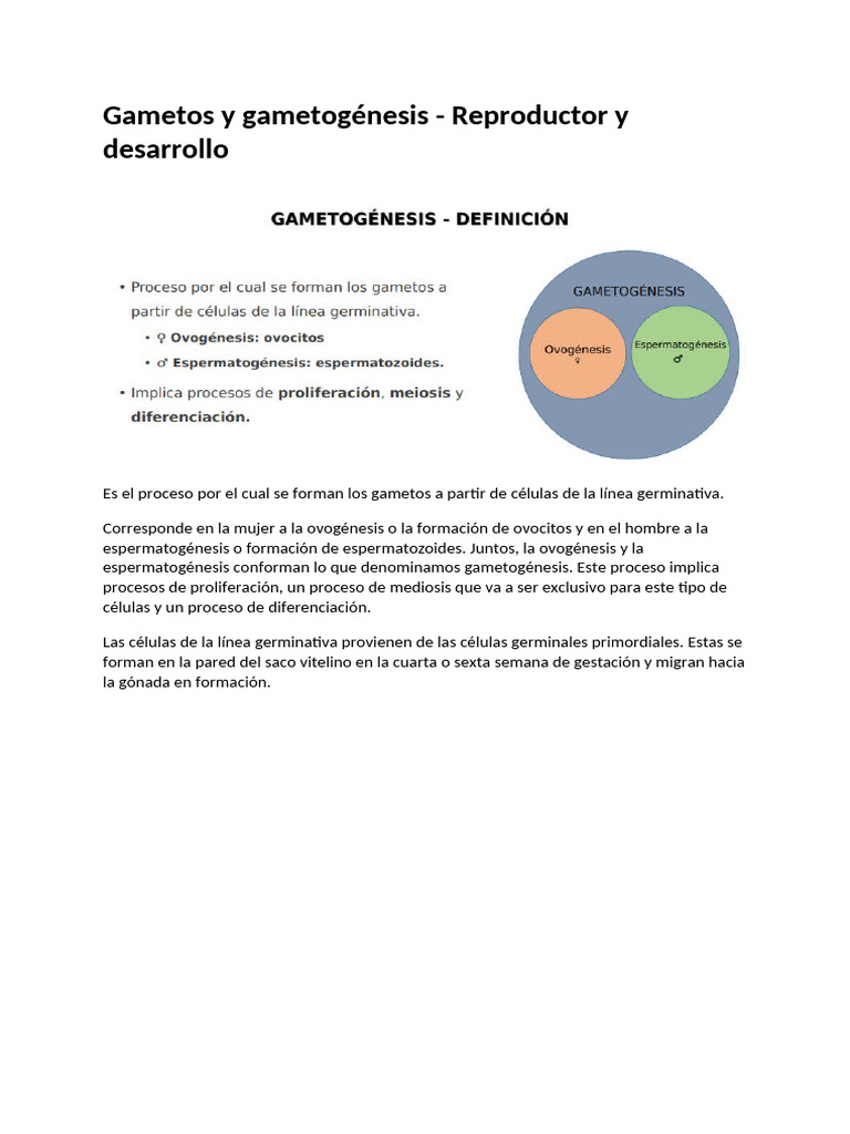 Gametos y Gametogénesis - Reproductor y Desarrollo | PDF | Reproducción ...
