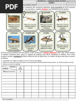 Classification des êtres vivants en 6ème | PDF | Espèces | Tigre