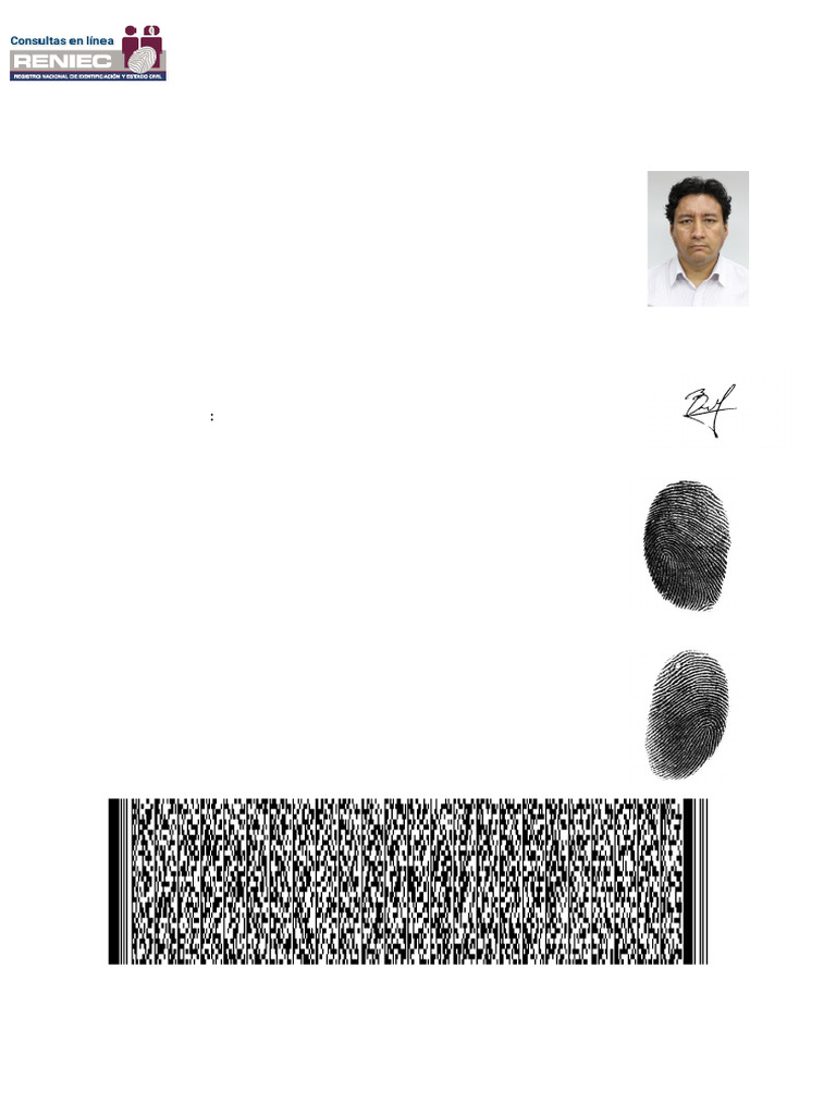 Informe de Consulta Doxeo RENIEC Perú | PDF | Política